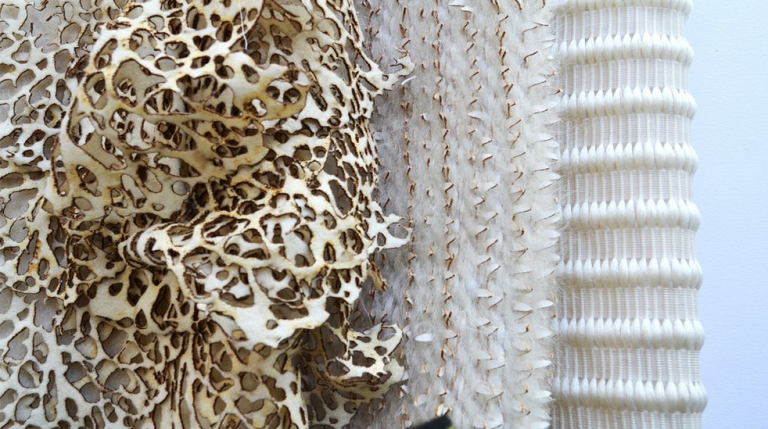 Material Fantasies: Five RCA Textiles Graduates