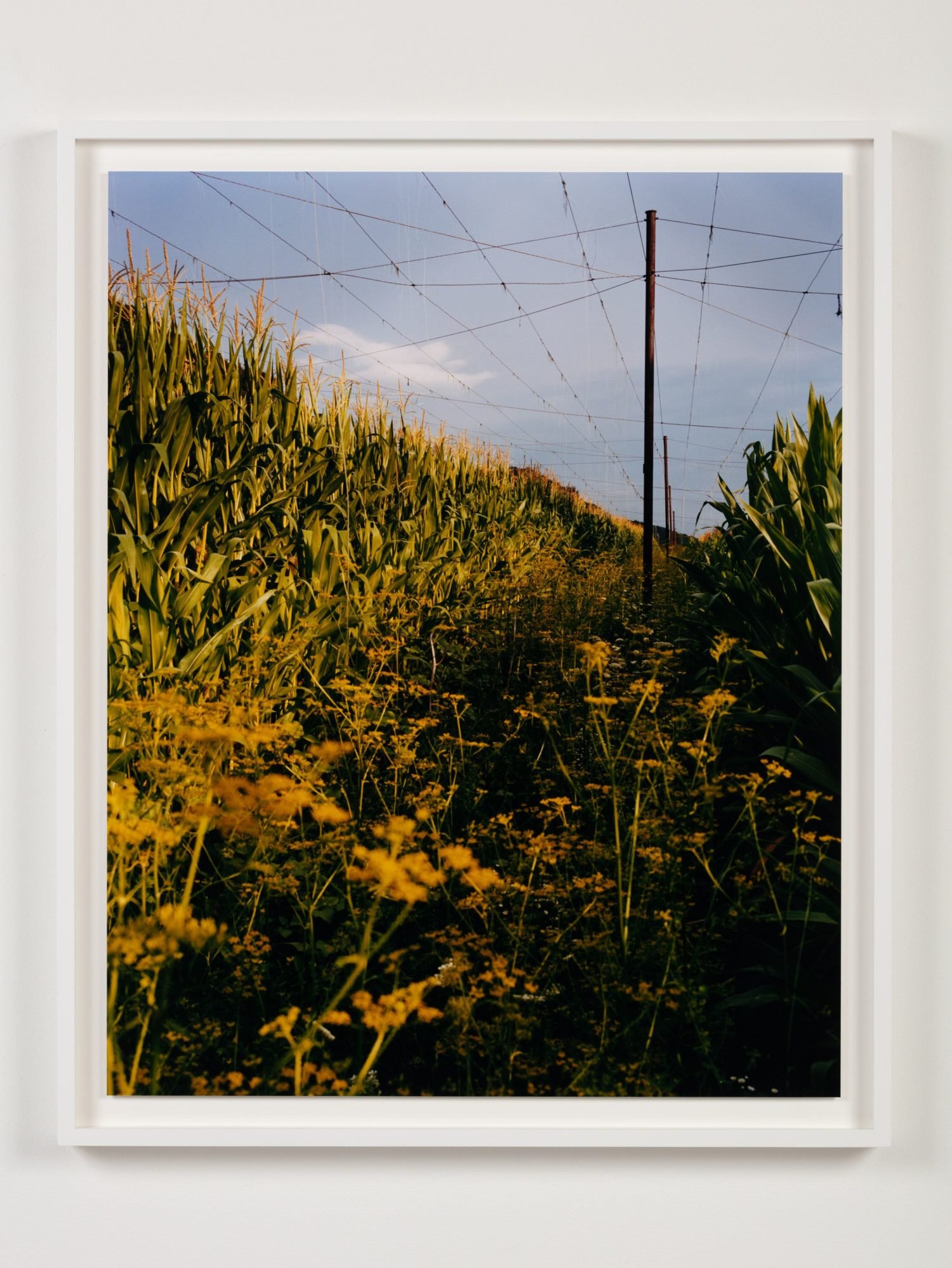 The extraordinary banality of Jamie Hawkesworth - 1 Granary