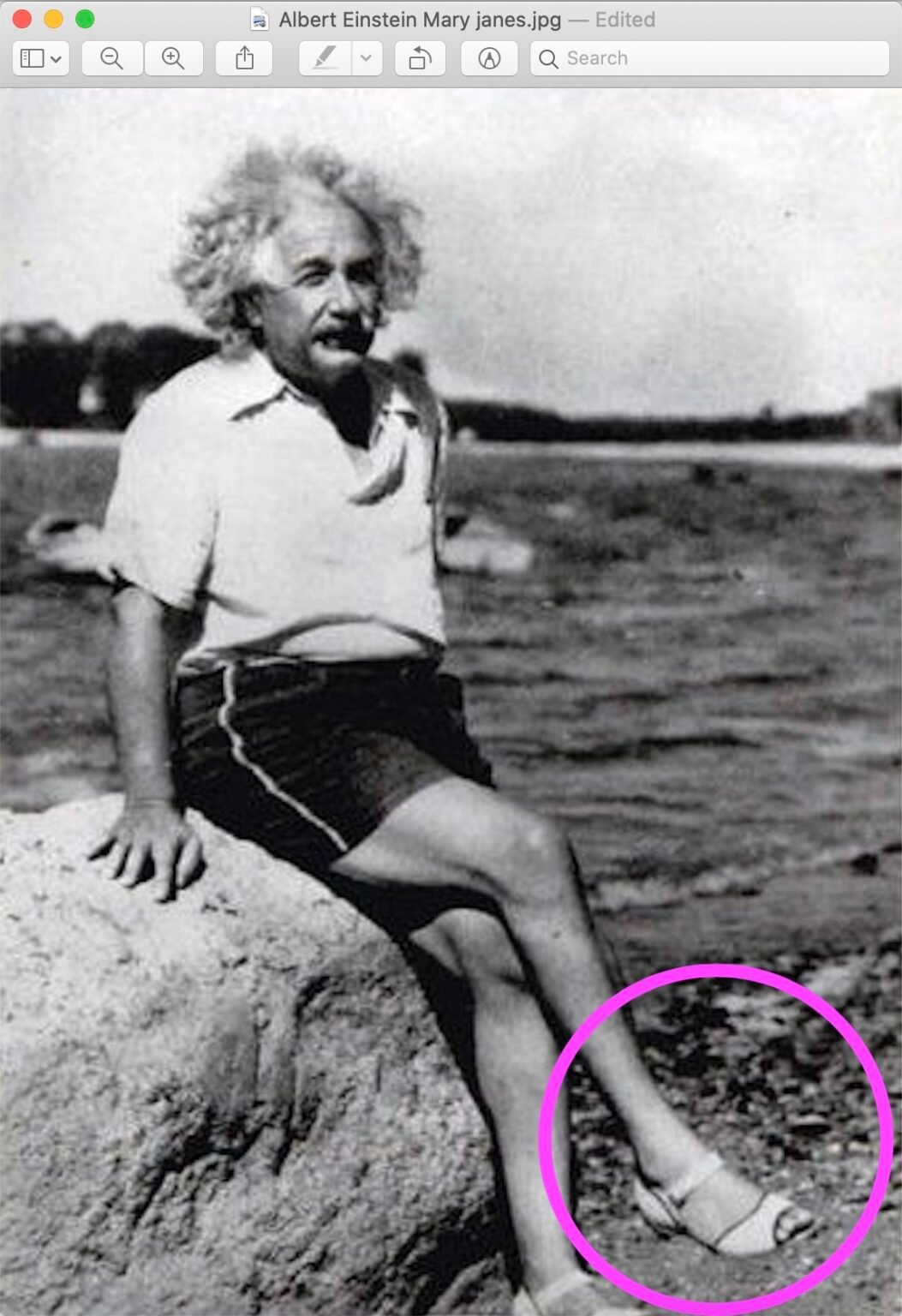 Overlooked fashion icon: Albert Einstein - 1 Granary