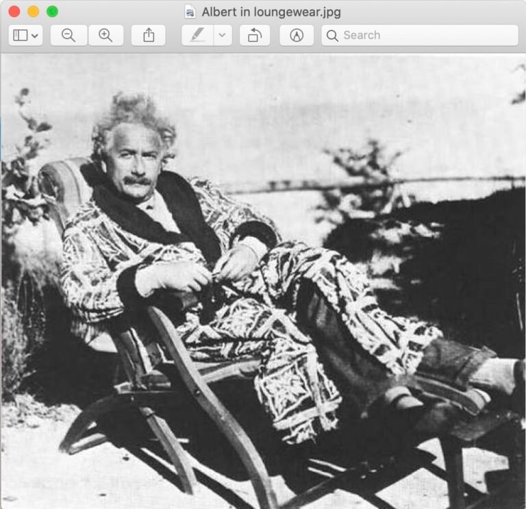 Overlooked fashion icon: Albert Einstein - 1 Granary