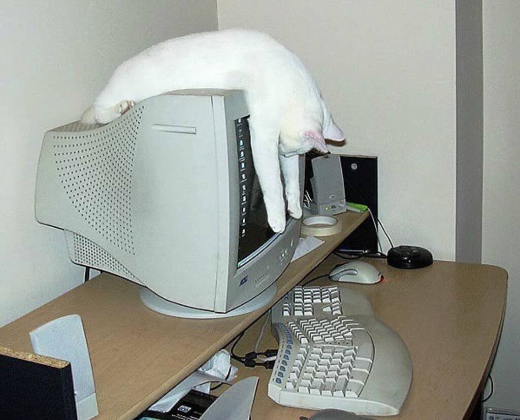 Screen Time For Designers: A Blessing Or A Curse? - 1 Granary